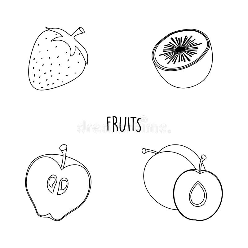 Line drawing fruit stock vector. Illustration of market - 86202437