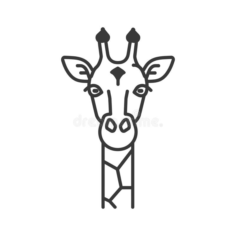 Elegant Giraffe Head Line Art Illustration Stock Vector - Illustration ...