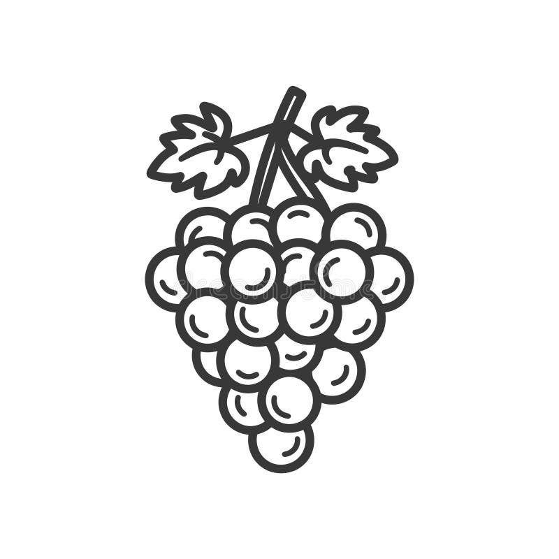 A Bunch of Fresh Grapes, Simple Line Art Illustration Stock Vector ...