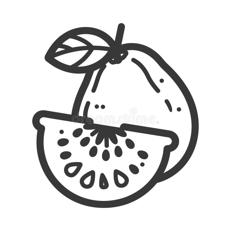 Juicy Guava Fruit Slice: a Delicious Tropical Treat Stock Vector ...