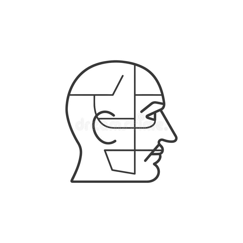 Human Head Profile Divided into Sections, Medical Illustration Stock ...