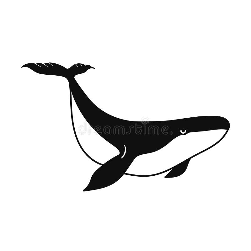 Line Drawing of Humpback Whale Vector Illustration Stock Vector ...
