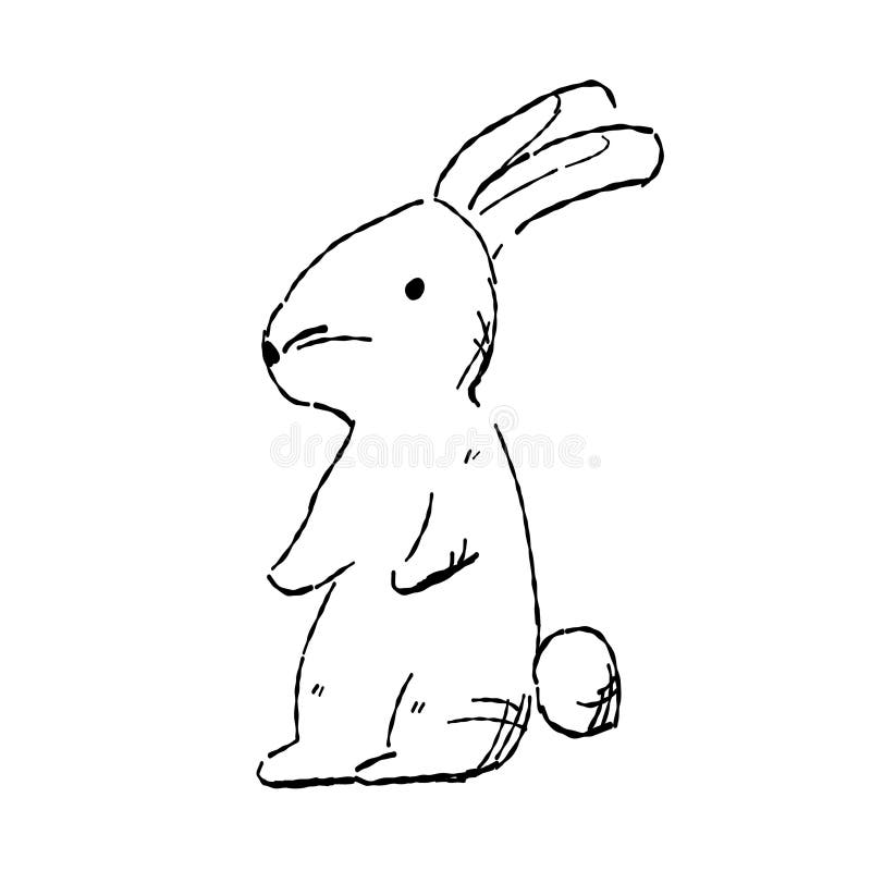 Line Drawing Illustration of the Standing Rabbit Stock Vector ...