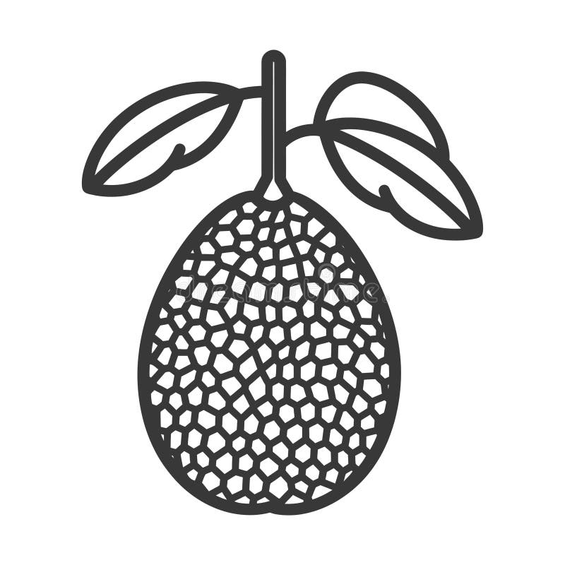 Single Jackfruit Line Art Icon a Simple, Elegant Line Drawing of a ...