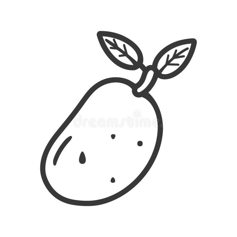 Simple Line Drawing of a Mango with Leaves Stock Vector - Illustration ...