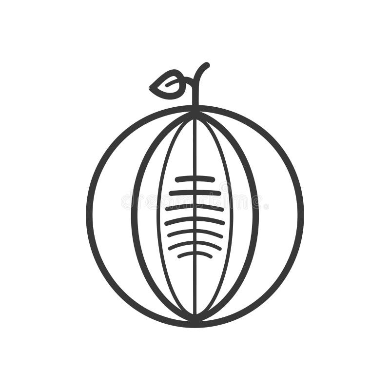 Striped Cantaloupe Melon: Line Art Illustration for Fresh Produce ...