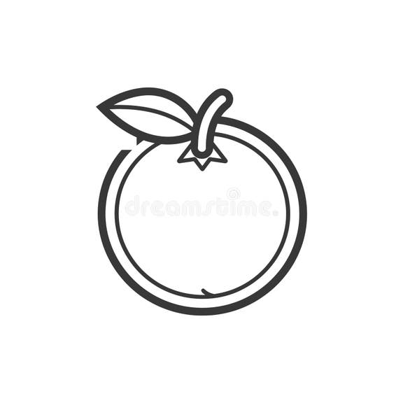 Simple Line Art Orange Fruit Icon Illustration Stock Vector ...