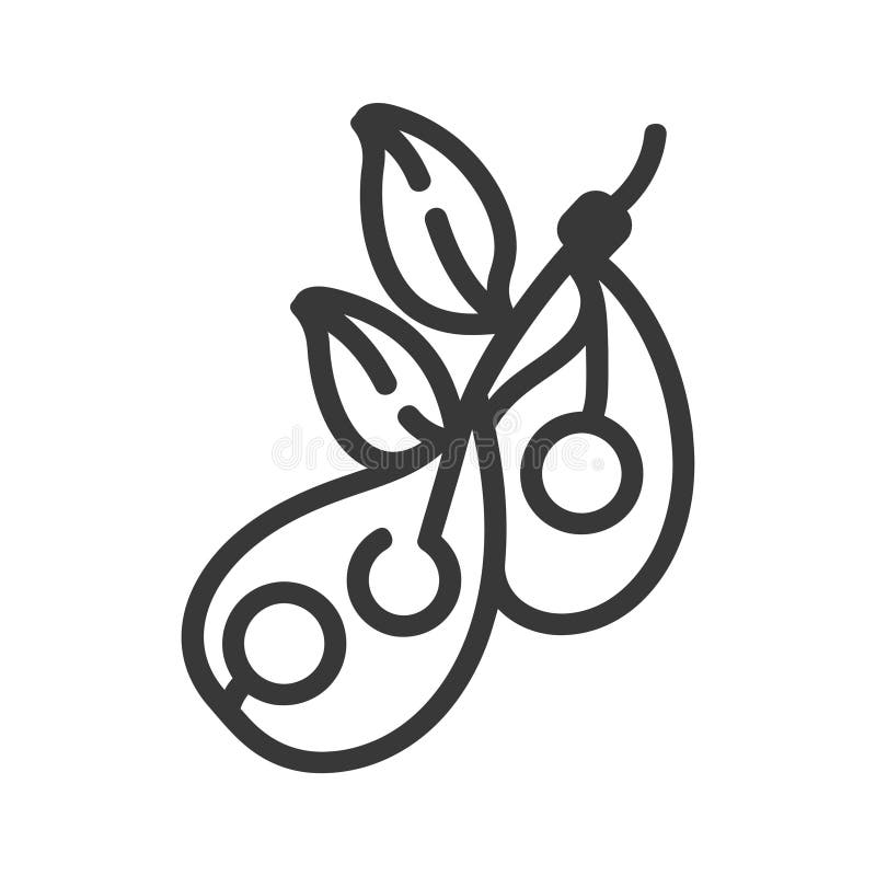Stylish Line Art Illustration of Pods on a Branch with Leaves Stock ...