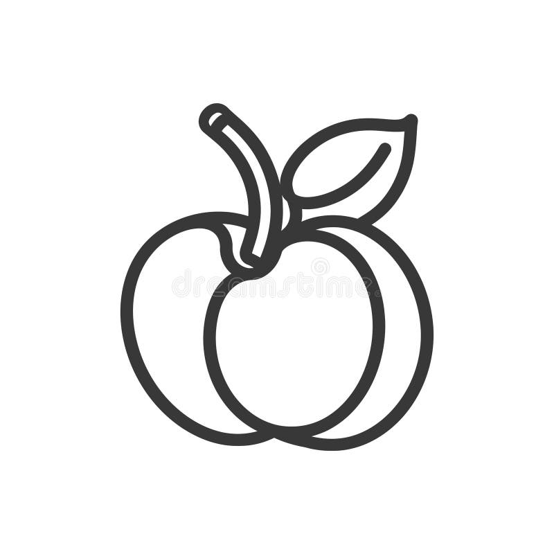 Pair of Plums Line Art Illustration, Simple Fruit Design Stock Vector ...