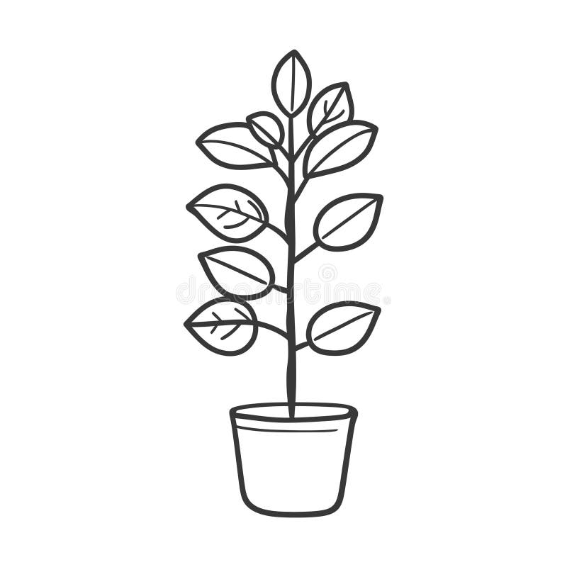 Line Drawing of a Plant in a Pot Stock Vector - Illustration of stem ...