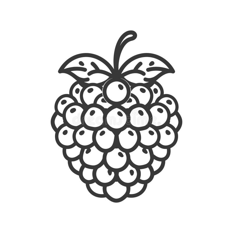 Simple Line Art Illustration of a Raspberry Stock Vector - Illustration ...