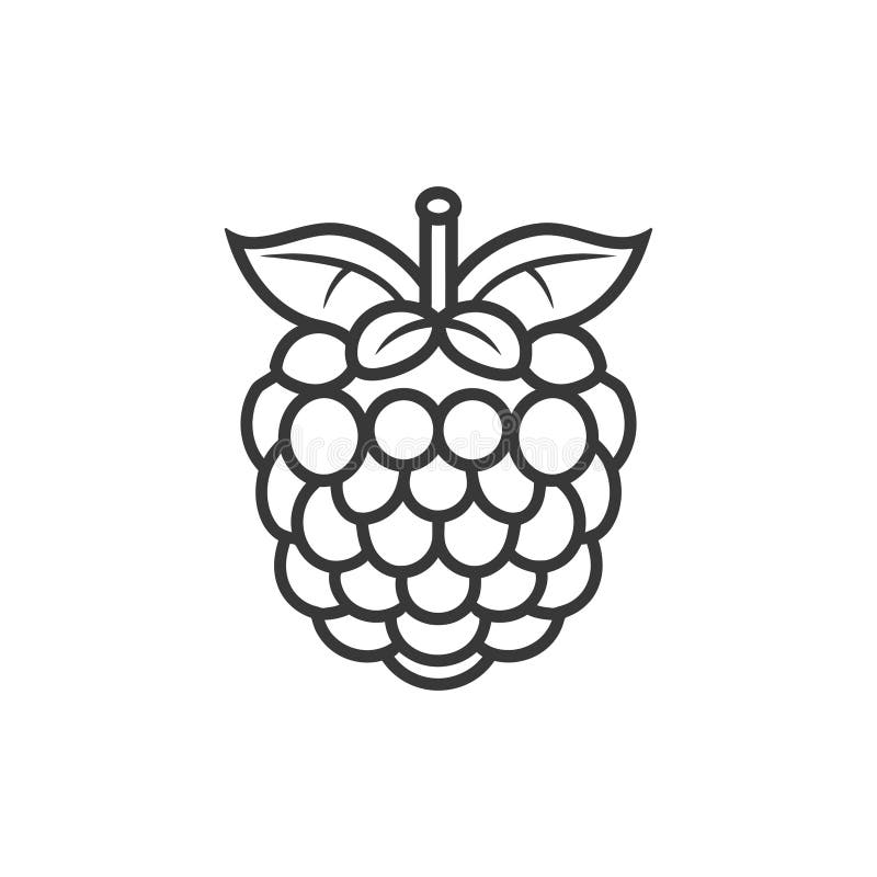 Raspberry Line Art Icon stock vector. Illustration of organic - 369930734