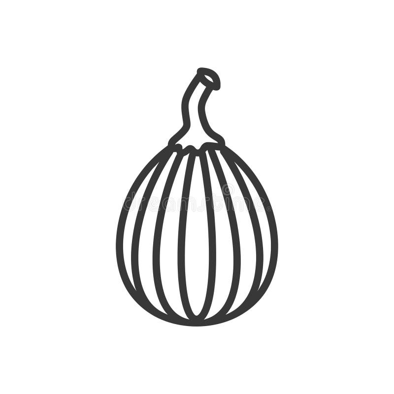 Simple Fig Illustration, Line Art Style Stock Vector - Illustration of ...