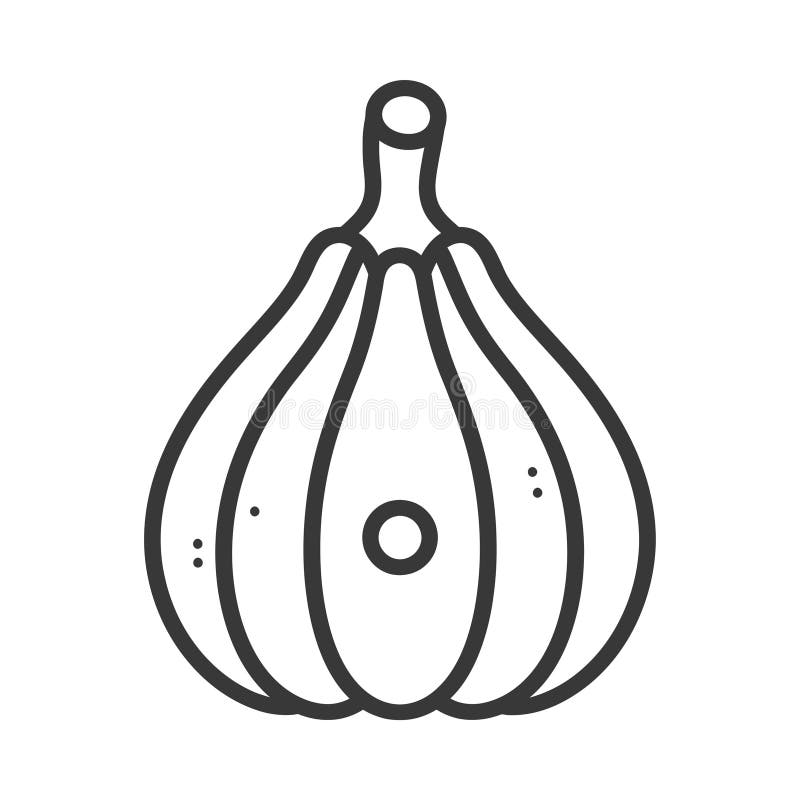 Fresh Fig Line Art Illustration, Simple and Clean Design Stock Vector ...
