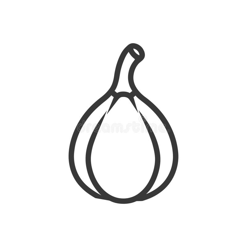 Single Garlic Bulb, Line Art Icon for Culinary Design Stock Vector ...