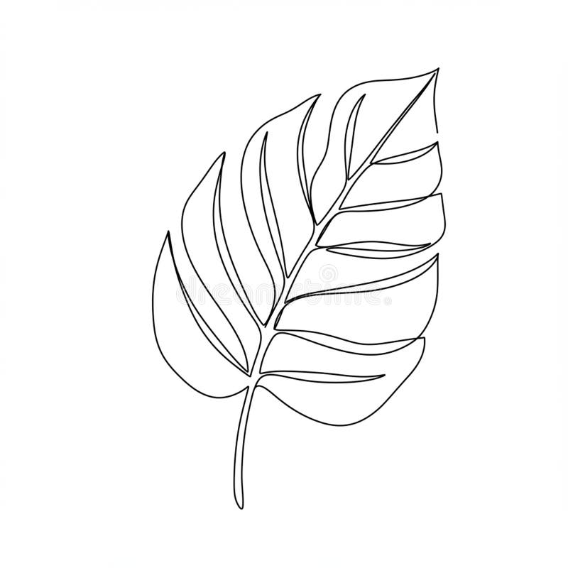 Line Drawing of a Single Leaf with a Long Slender Stem and a Series of ...