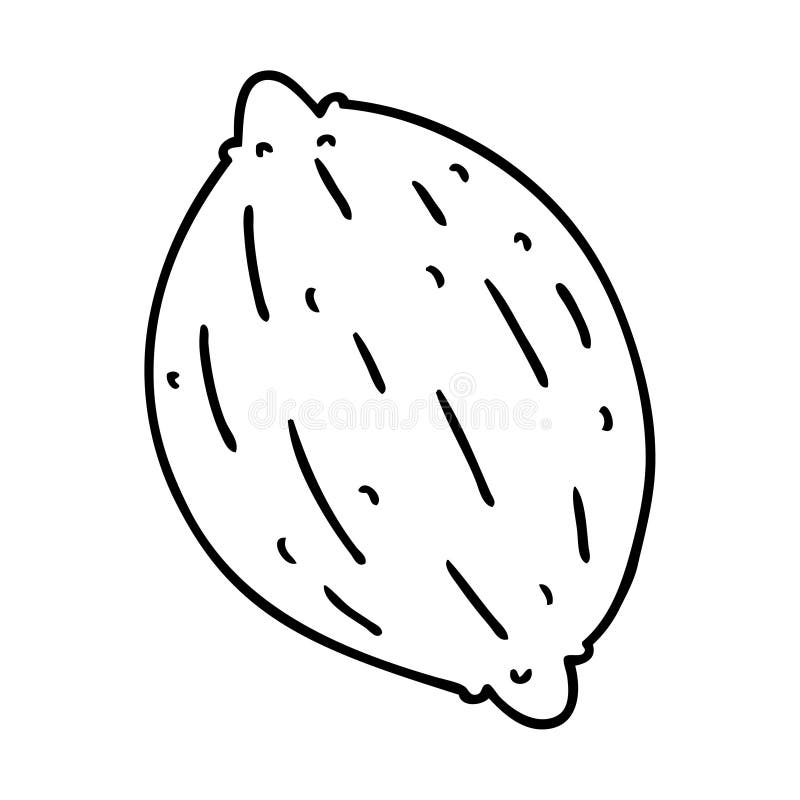 Walnut Line Drawing Stock Illustrations – 963 Walnut Line Drawing Stock ...