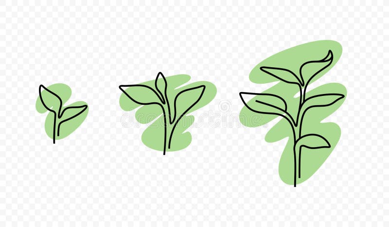 Line Drawing of Small Tree Growing Vector Design. Line Art Illustration ...