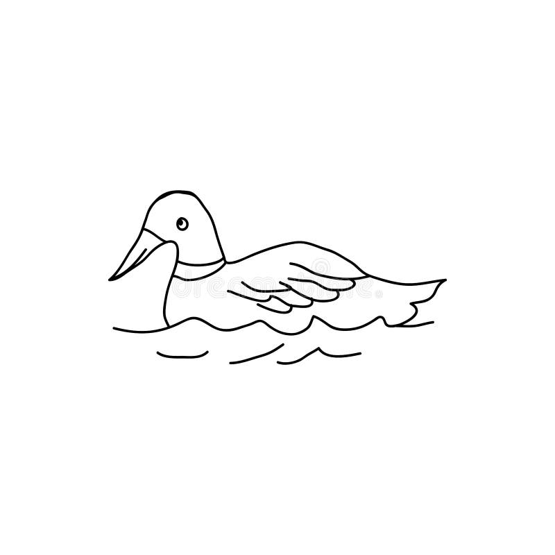 Line Drawing of a Swan Swimming in a River Stock Illustration ...