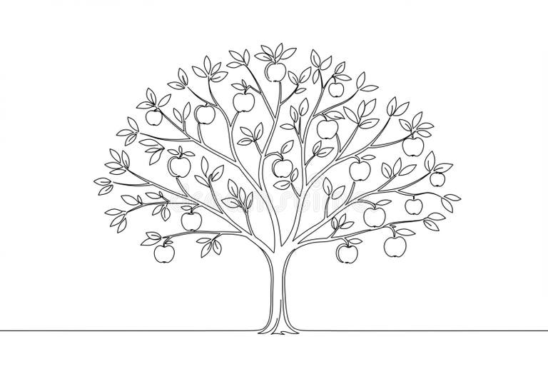 Line Drawing of a Symmetrical Apple Tree with Numerous Branches. the ...