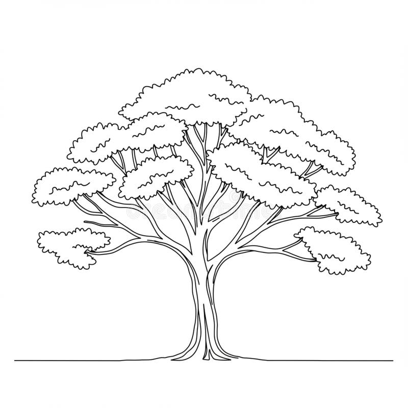 Line Drawing of a Tree with a Broad Canopy and Thick Trunk. the ...