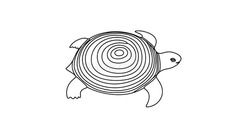 Line Drawing of a Turtle with a Spiral-patterned Shell. the Turtle Has ...