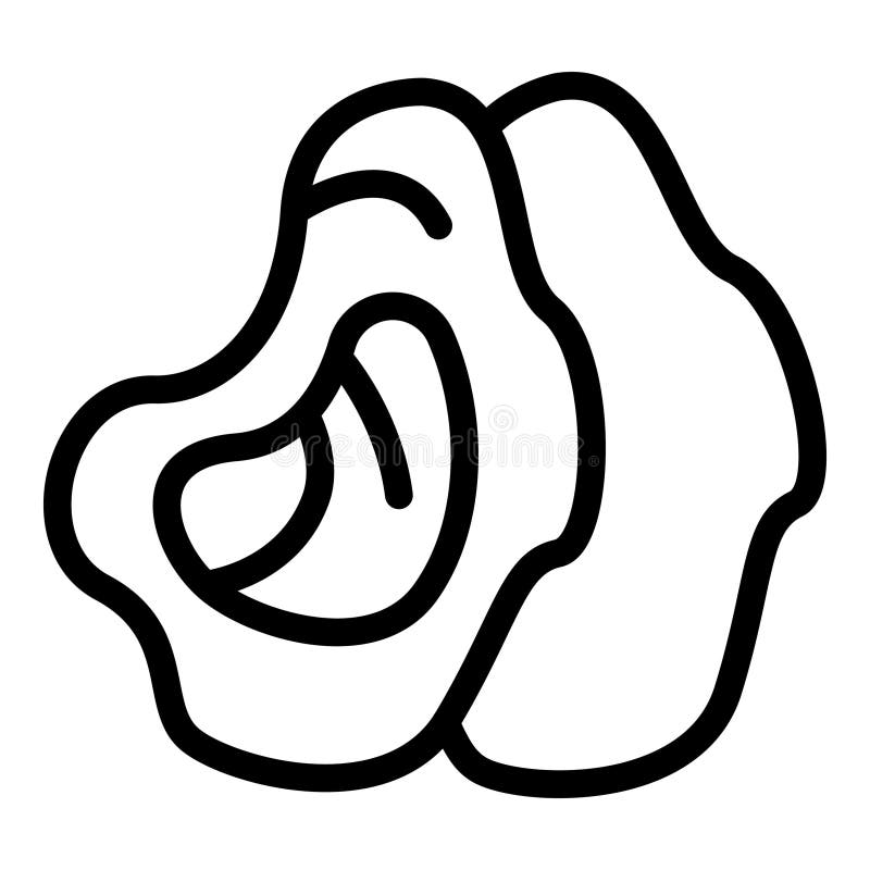 Line Drawing of Two Open Oyster Shells with Meat Inside Stock Vector ...