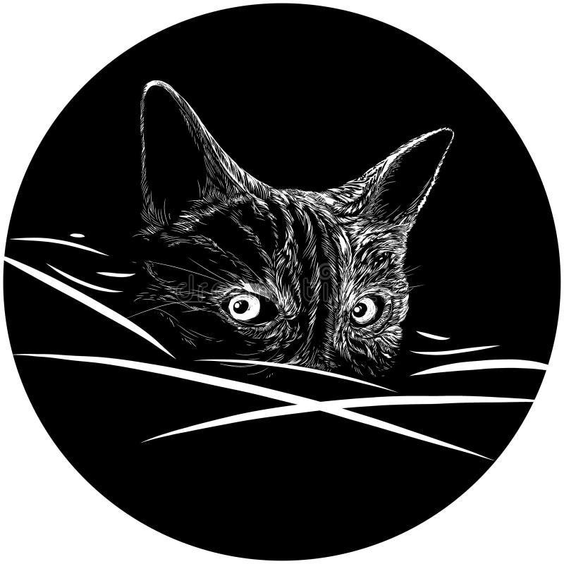 Line Drawing White on Black of a Cat Behind a Blade of Grass Stock ...