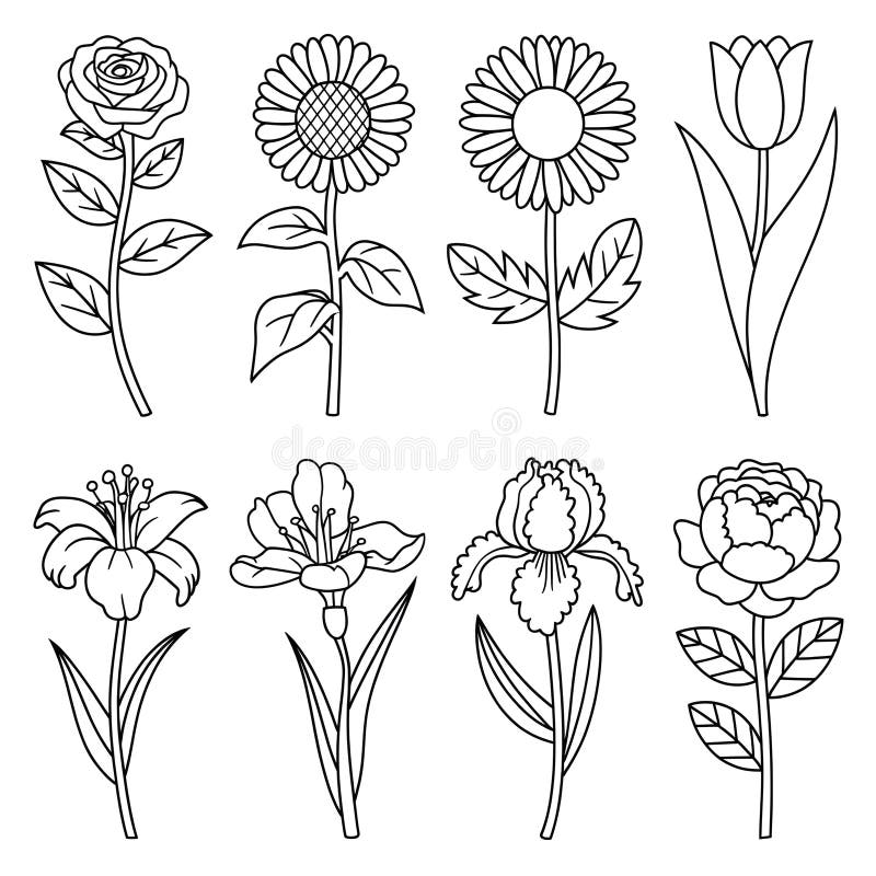 Beautiful Flower Coloring Pages: Unique Designs for Relaxation Stock ...