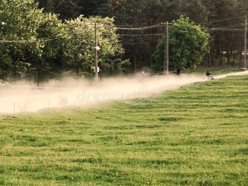 Line of dust stock image. Image of autumn, pasture, plant - 183329557