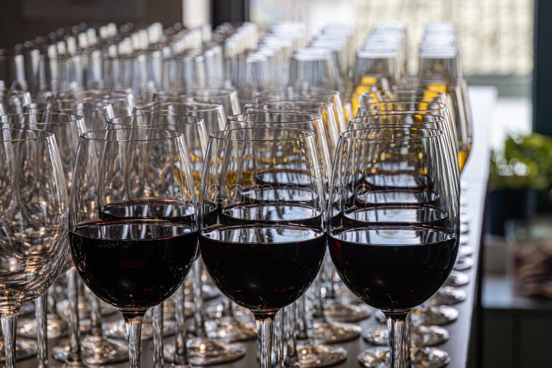 Line of Filled Wine Glasses on a Bar, with Surrounding Bottles, Under ...