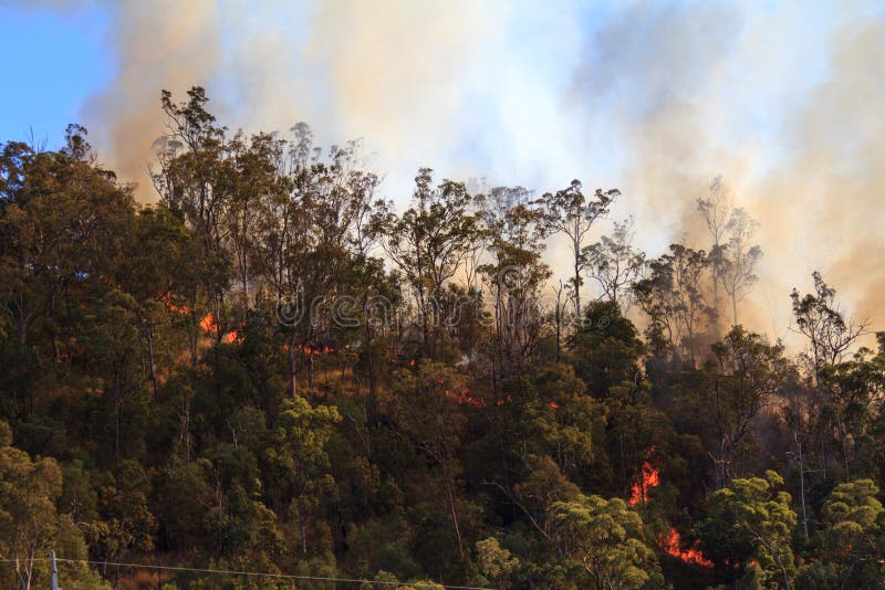 Line of Fire stock image. Image of environmental, dangerous - 34825295