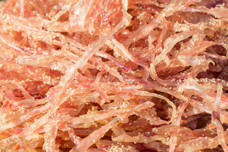 Line fish stock photo. Image of fish, aquarium, line - 94200330