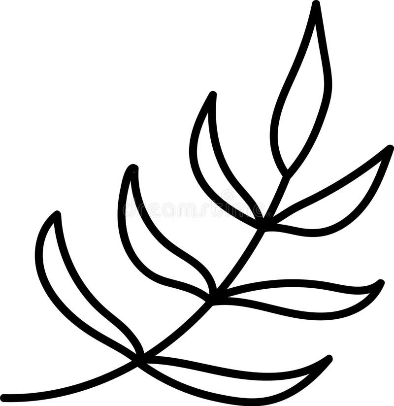 Line Floral Branch stock vector. Illustration of natural - 361291229