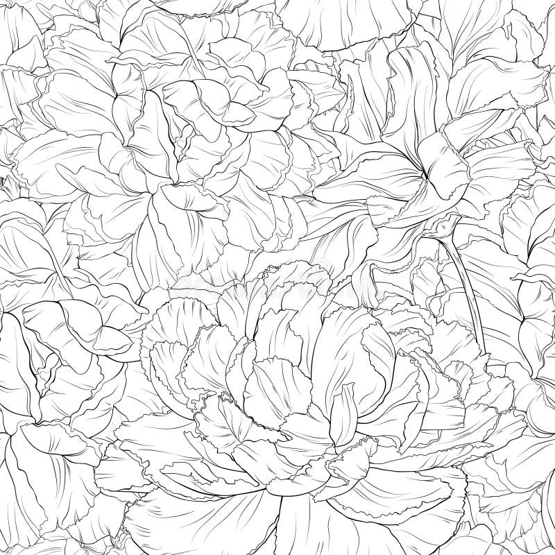 Line floral stock vector. Illustration of sketching, floral - 57671983