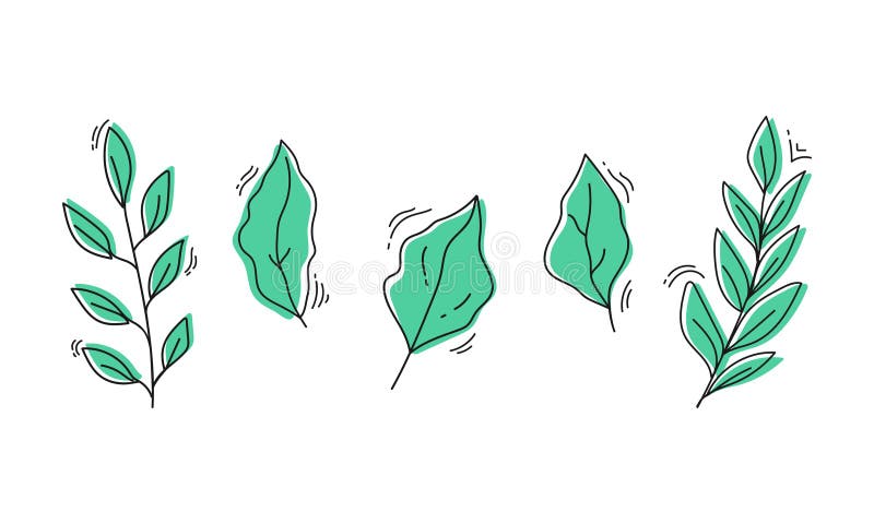 Line Foliage Leaves Set. Hand Drawn Botanical Green Set Stock Vector ...