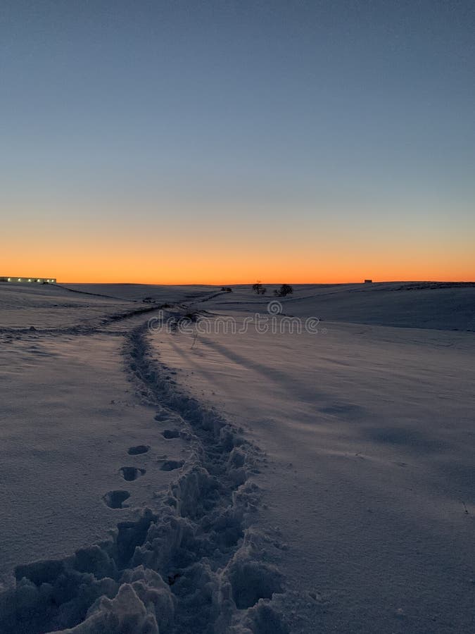 Line of Footsteps in the Snow Stock Image - Image of night, landscape ...