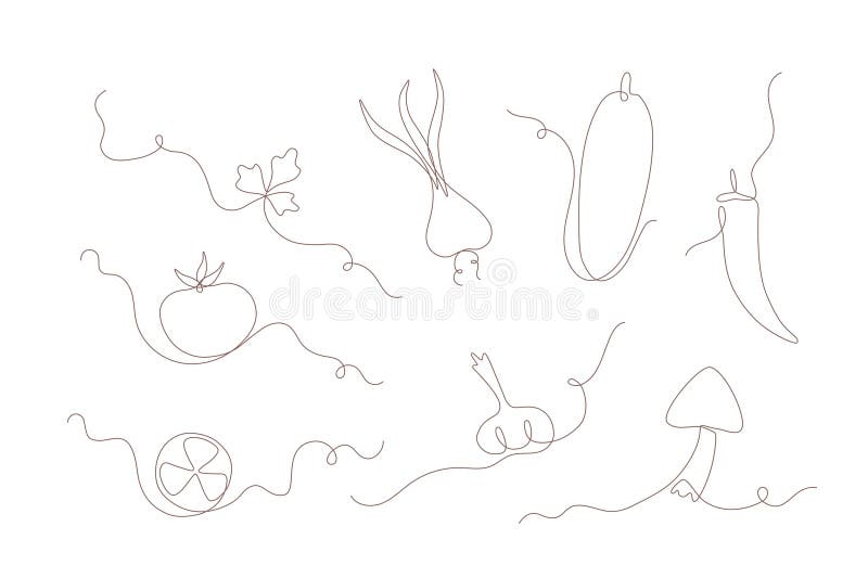 Line Fresh Vegetables. Hand Drawn Monoline Vector Illustrations for ...