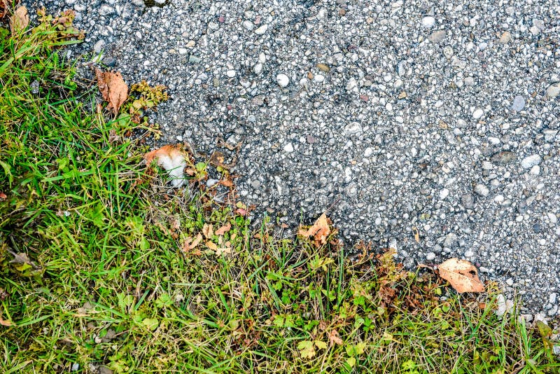 Line between Grass and Asphalt Outside on the Road Texture. Stock Photo ...