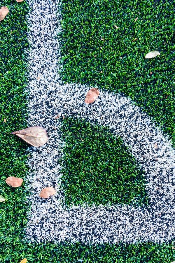 Line on the green grass stock image. Image of light, outdoors - 41550029