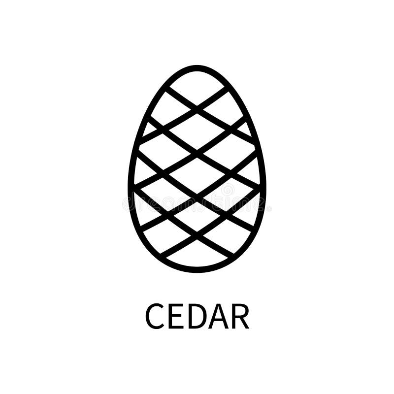 Line Icon Cedar Cone in a Simple Style. Vector Sign in a Simple Style ...
