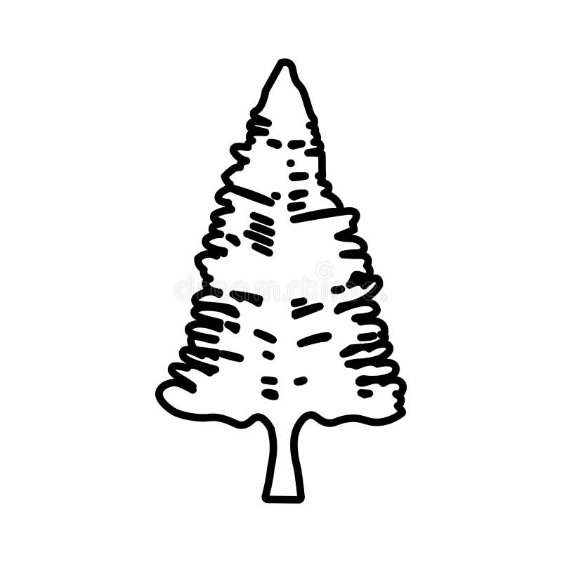 Line Icon Evergreen Pine Tree Vector Design Illustration Stock Vector ...