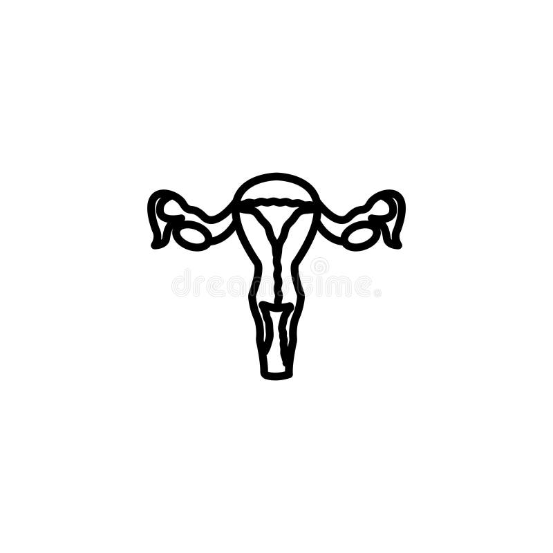Line icon. Uterus symbol stock vector. Illustration of endometrium ...