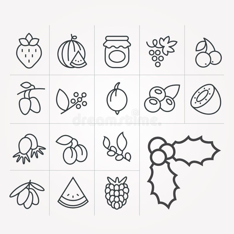 Set of Icons - Berries and Fruits. Stock Vector - Illustration of ...