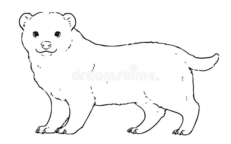 Line Illustration of Cute Bush Dog Stock Vector - Illustration of costa ...