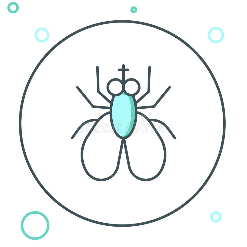Line Insect Fly Icon Isolated on White Background. Colorful Outline ...