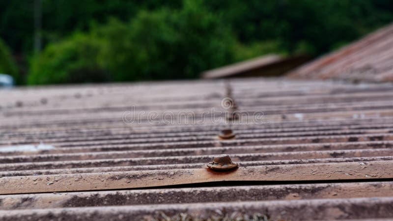 A Line of Lead Head Nails Holds Down an Old, Rusty Corrugated Iron Roof ...