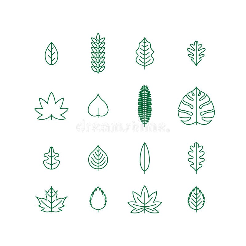 Line Leaf Icon Set stock vector. Illustration of outline - 73783177