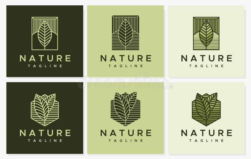 Line Leaves Logo Design Set. Plant Line Logo Graphic Vector. Stock ...