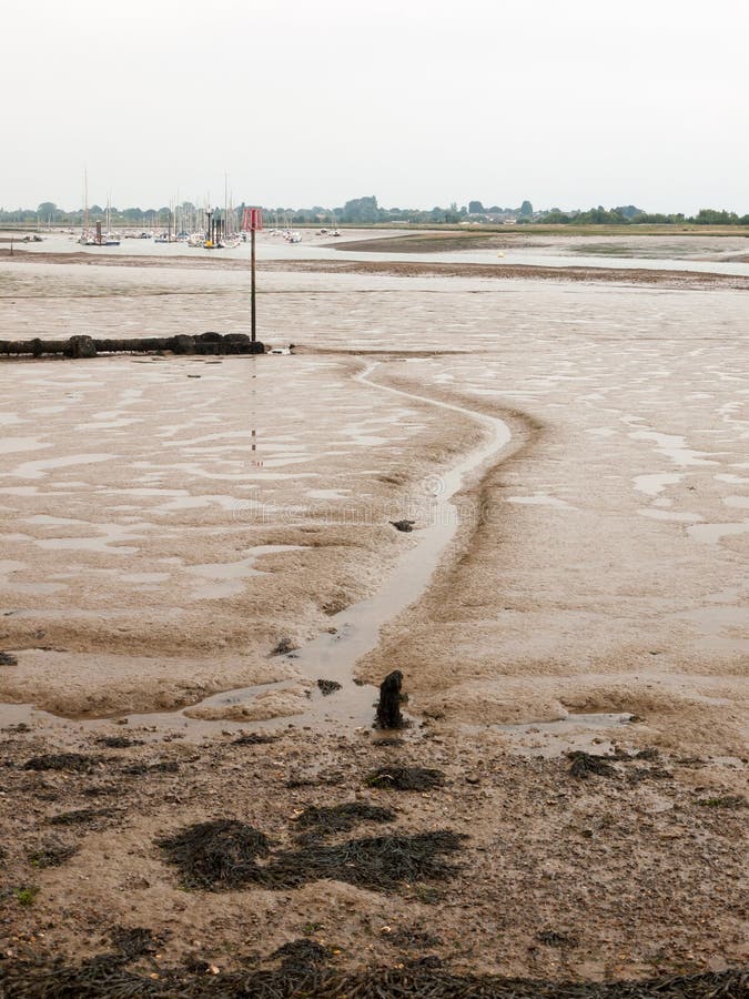 A Line in the Mud at the Beach River Stock Image - Image of scenery ...